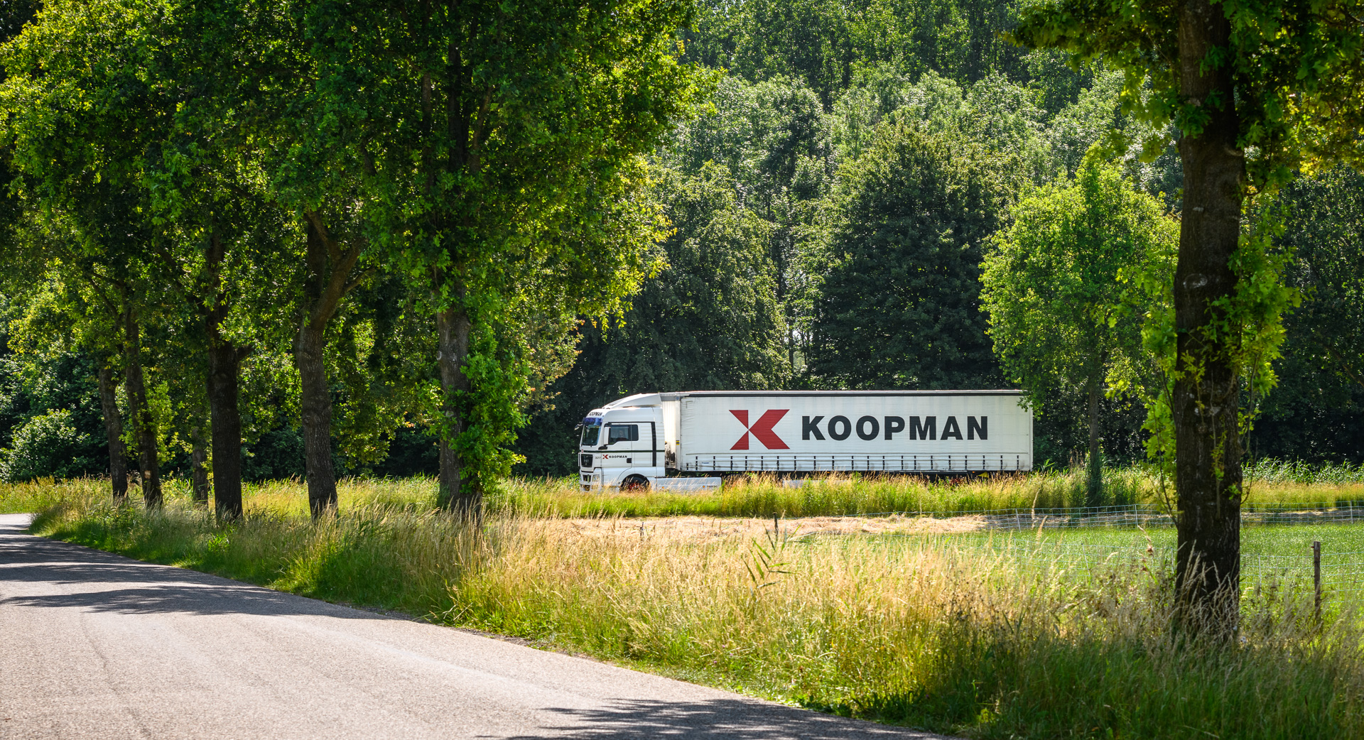 Payment Accepted Koopman Cargo